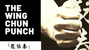 What is the Wing Chun Punch? (+ How to Chain Punch) - Wing Chun Blog