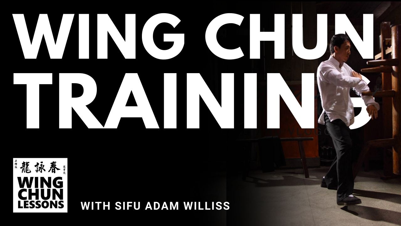 Wing Chun Training Videos | Drills at Home (Techniques for Beginners)