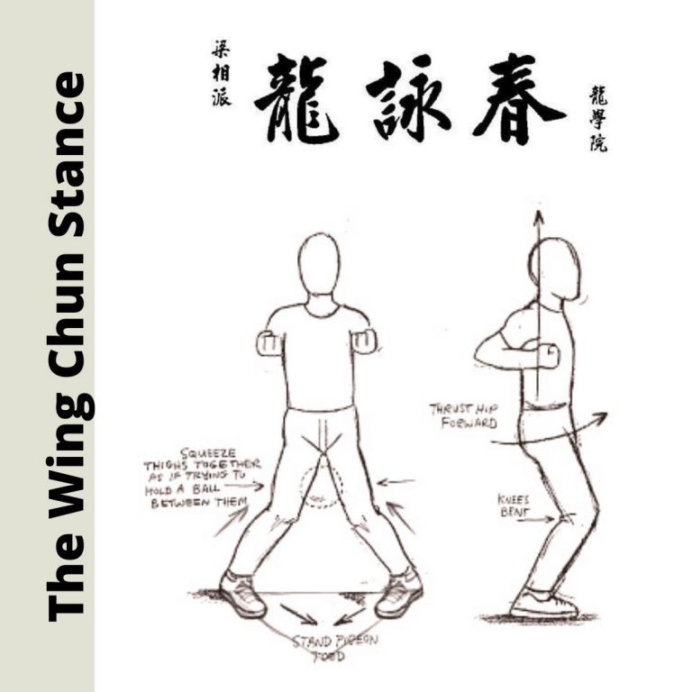 Wing Chun Terms / Techniques Glossary w/ Pictures (Terminology PDF)