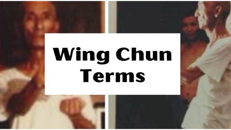 Wing Chun Terms / Techniques Glossary w/ Pictures (Terminology PDF)
