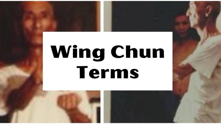 Wing Chun Terms / Techniques Glossary w/ Pictures (Terminology PDF)