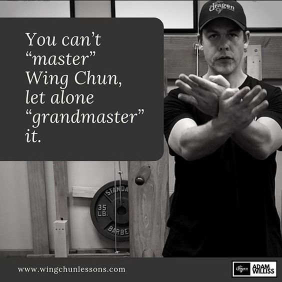What Makes a Wing Chun Master?