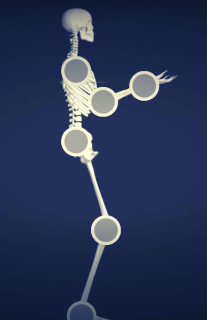 Wing Chun Structure (Defined) - The Dragon Institute