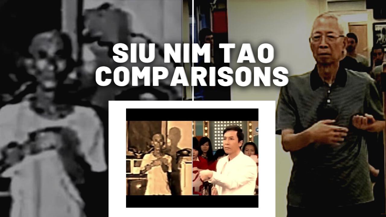 Siu Nim Tao Side-by-Side Comparisons - The Dragon Institute