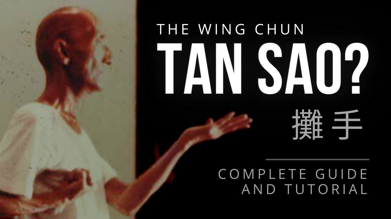 How to Do a Tan Sao - The Dragon Institute