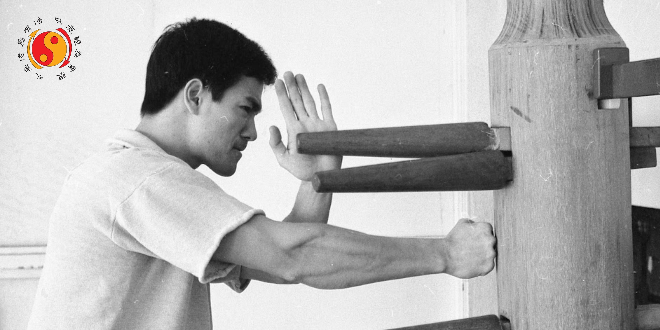 Palm Coast Boxing - The Dragon Institute